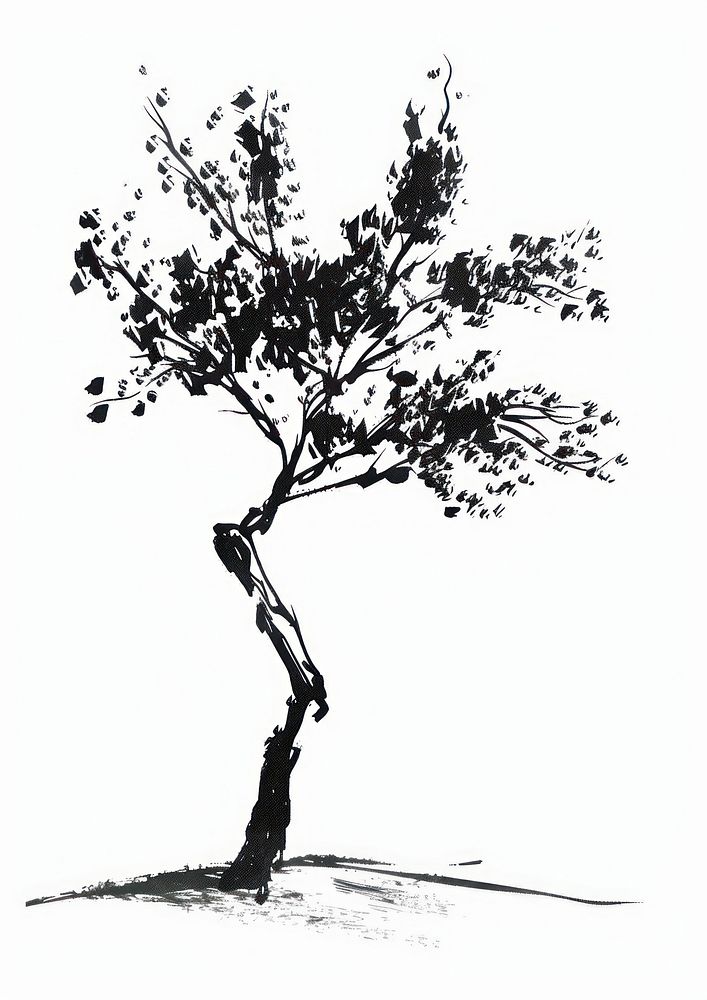 Maple tree drawing black white. | Free Photo Illustration - rawpixel