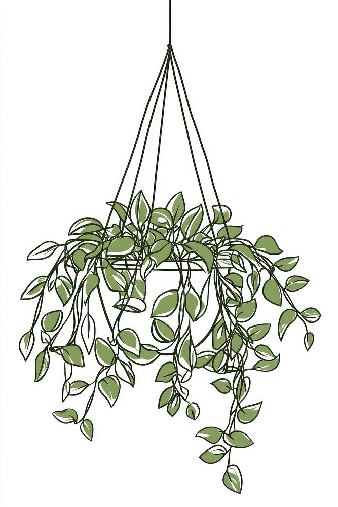 Hanging plant art illustration green. | Free Photo Illustration - rawpixel