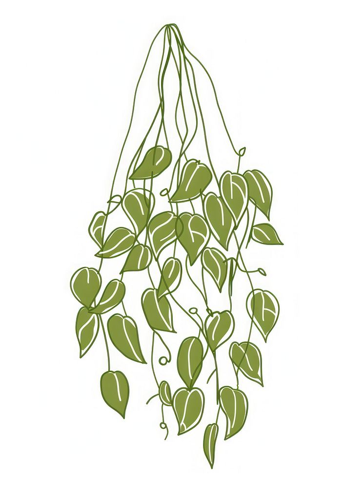 Hanging Pothos plant illustration green. | Free Photo Illustration ...