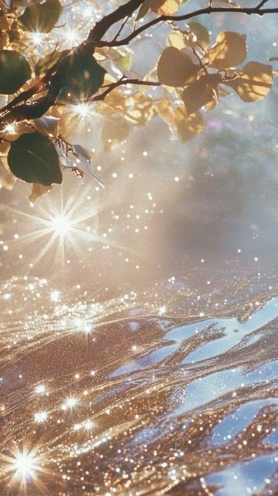 Aesthetic landscape sunlight sparkles magical. | Free Photo - rawpixel