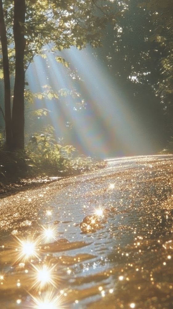 Aesthetic road photography sunlight sparkles. | Free Photo - rawpixel