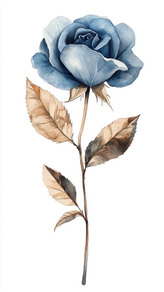 Aesthetic blue rose art flower | Free Photo Illustration - rawpixel