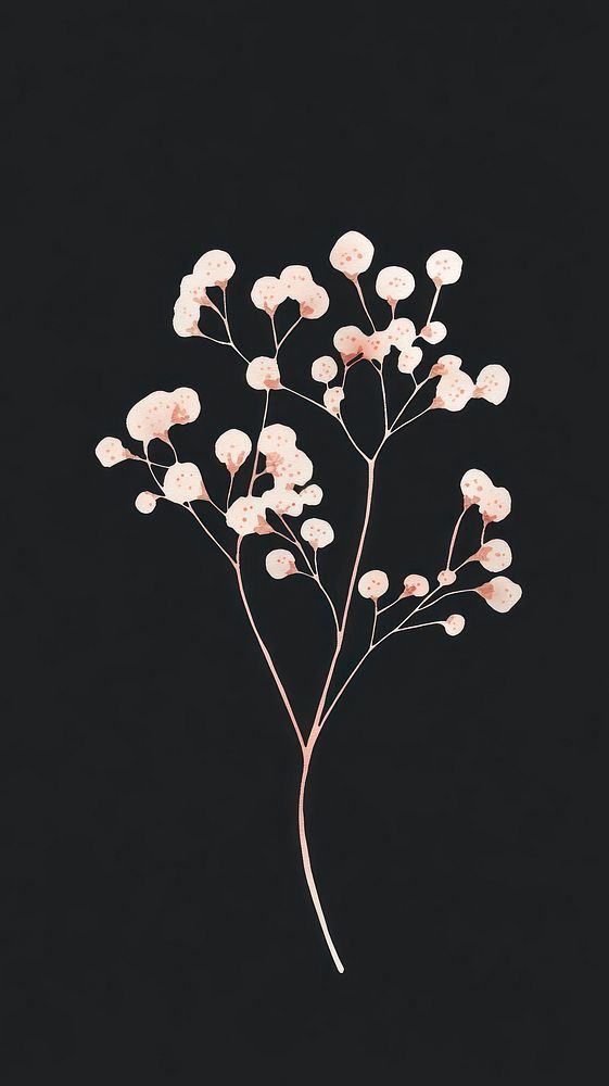Aesthetic Gypsophila flower flowers art | Free Photo Illustration ...