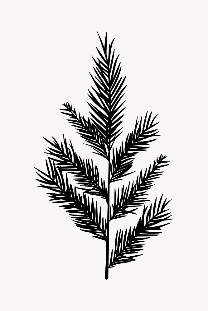Elegant black pine branch silhouette. | Free Photo Illustration - rawpixel