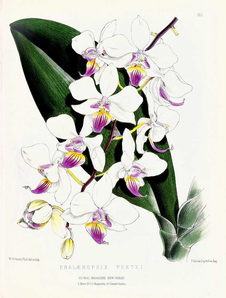 Public domain | Free High-Resolution CC0 Art, Photos & Illustrations ...