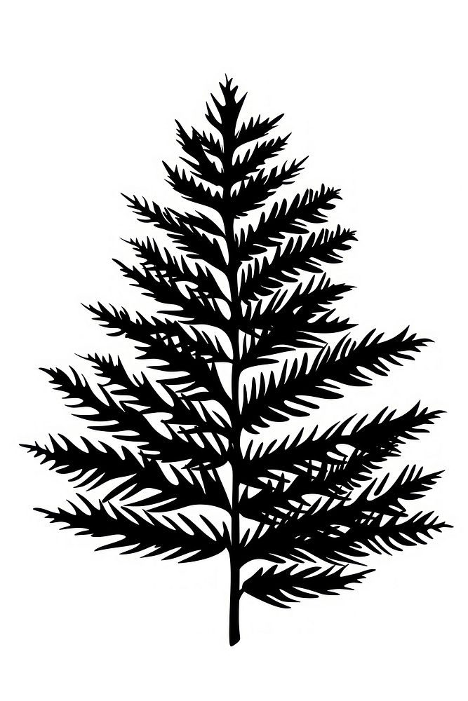 Cedar Leaf silhouette leaf art | Free Photo Illustration - rawpixel