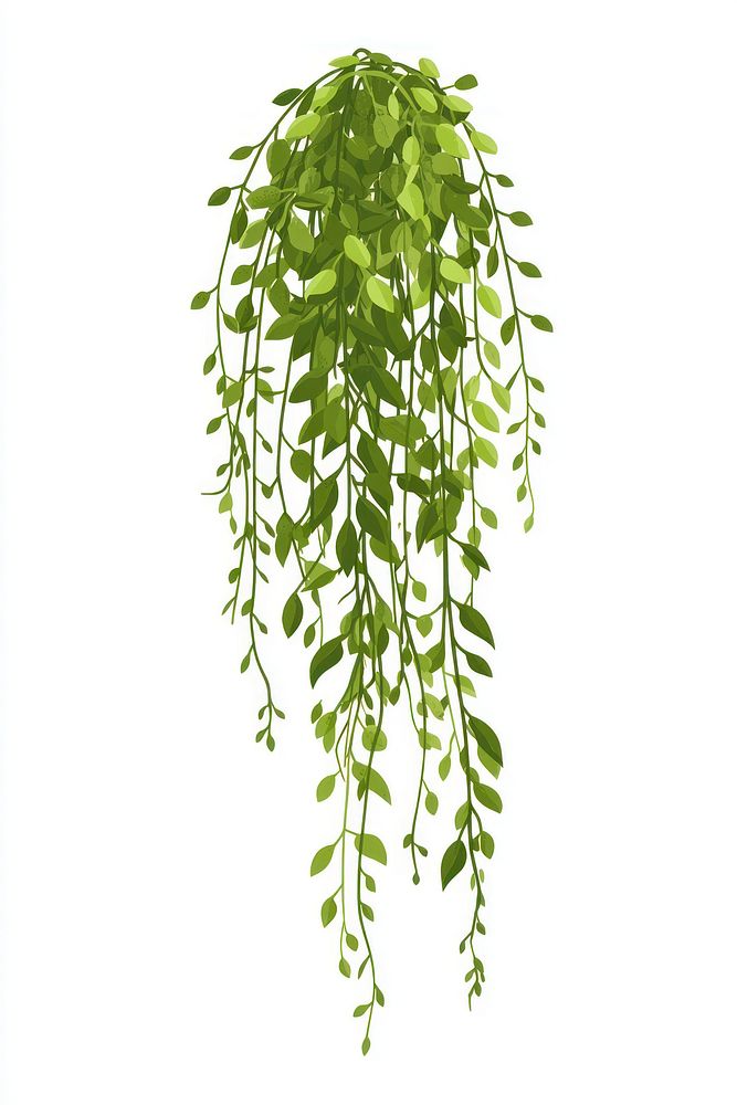Long hanging jungle vines illustration | Free Photo Illustration - rawpixel