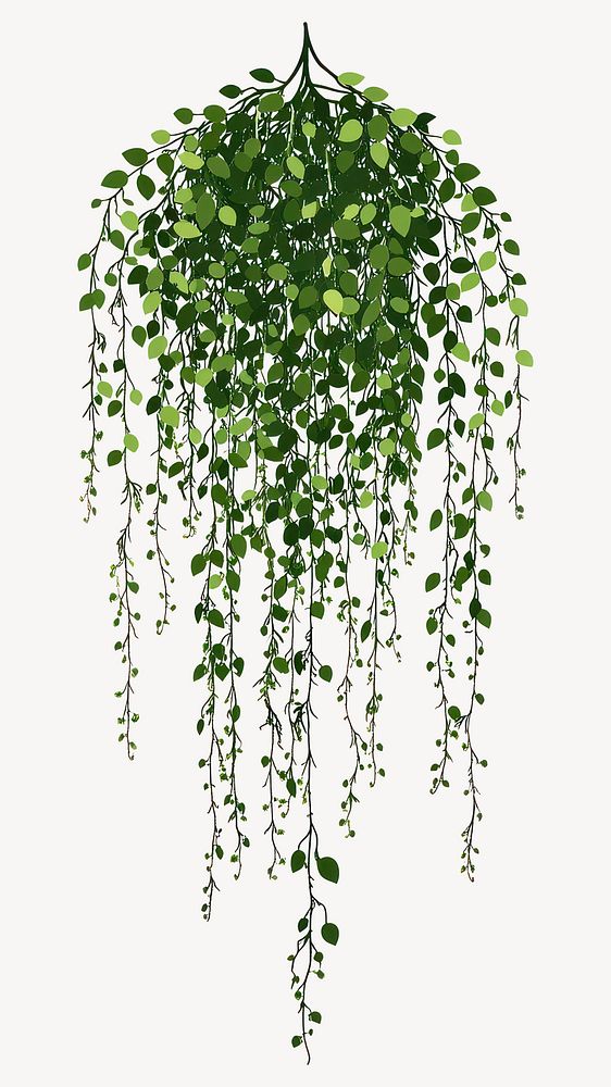 Long hanging jungle vines illustration | Free Vector - rawpixel