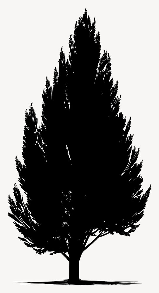Cypress tree silhouette illustration black | Free Vector - rawpixel