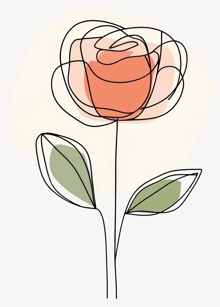 Abstract rose line art drawing | Free Vector - rawpixel