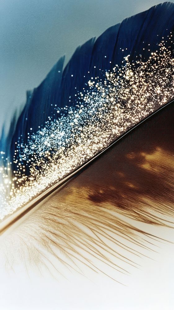 Feathers Iphone Wallpaper Images | Free Photos, PNG Stickers ...