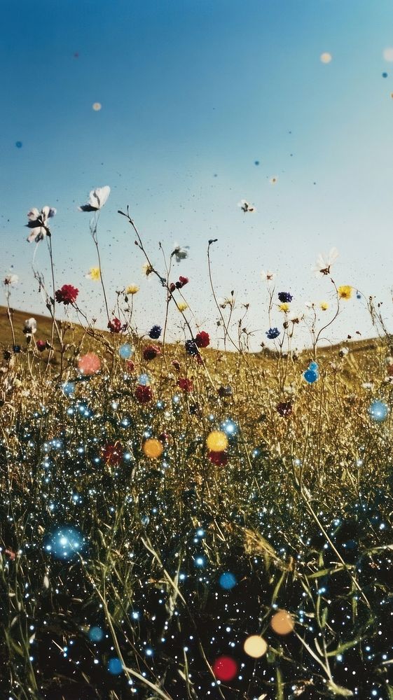 Spring flower hills flowers photography | Free Photo - rawpixel