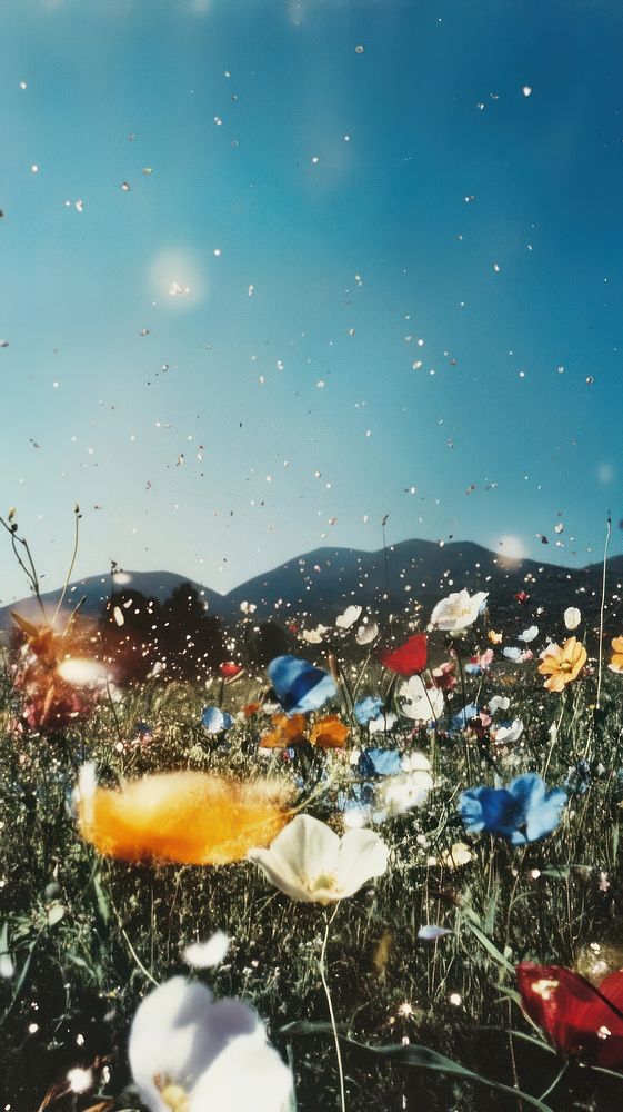 Spring flower hills flowers photography | Free Photo - rawpixel