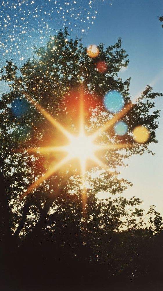 Sunrise photography sunlight scenery. | Free Photo - rawpixel