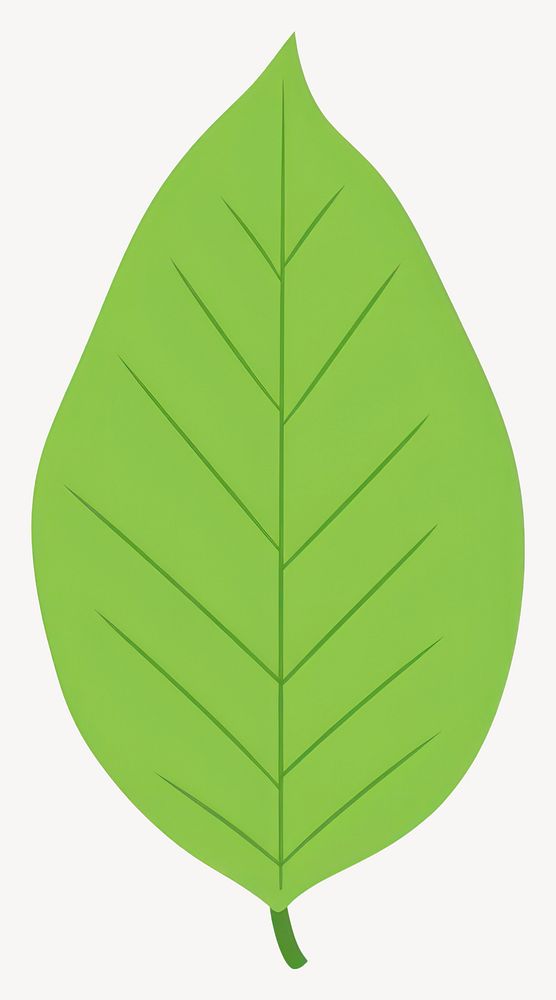 Tea leaf illustration nature simple | Free Vector Illustration - rawpixel