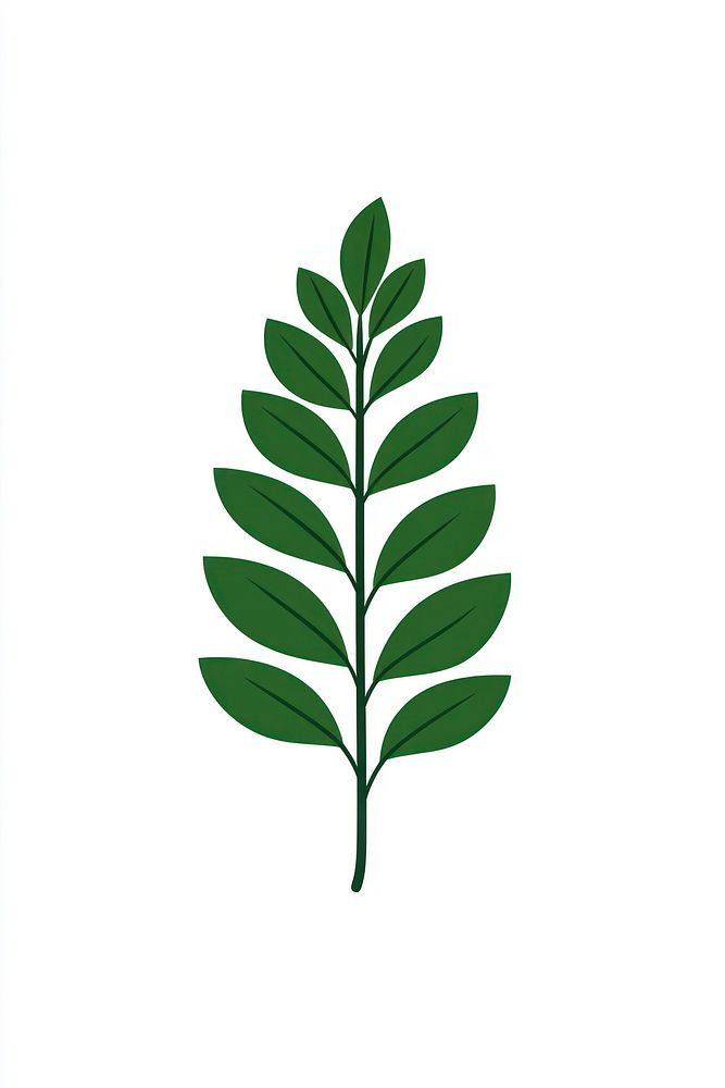 Green long fern leaf illustration | Free Photo Illustration - rawpixel