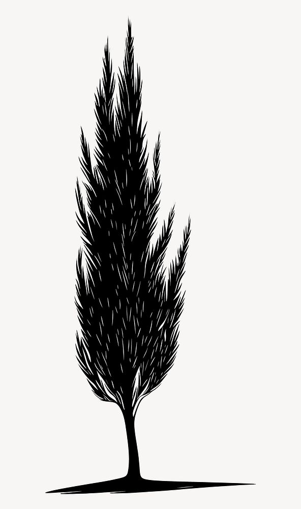 Cypress Tree silhouette tree illustration | Free Vector - rawpixel