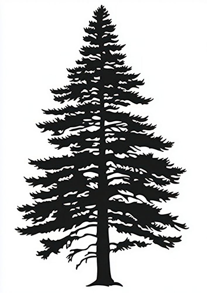 Douglas Fir silhouette tree illustration. | Free Photo Illustration ...