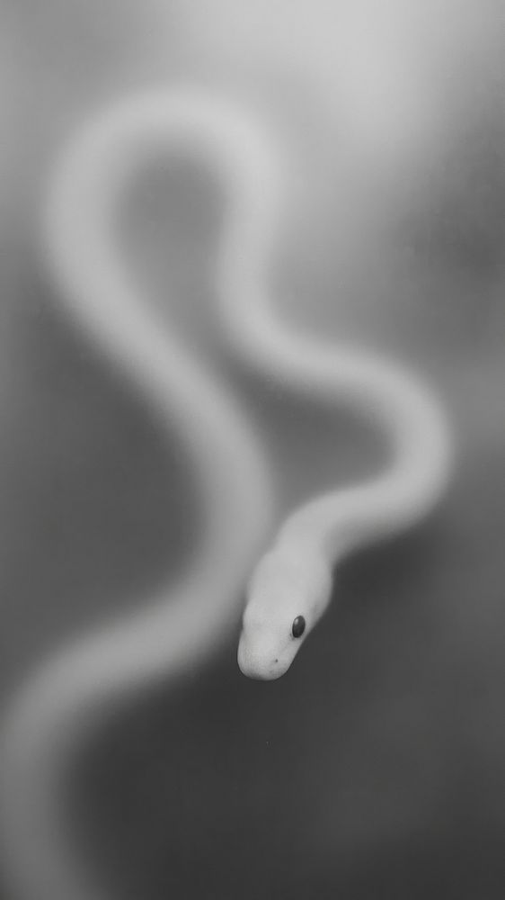 Ethereal snake silhouette art | Free Photo - rawpixel