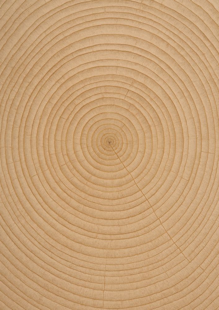 Concentric tree rings pattern | Free Photo - rawpixel