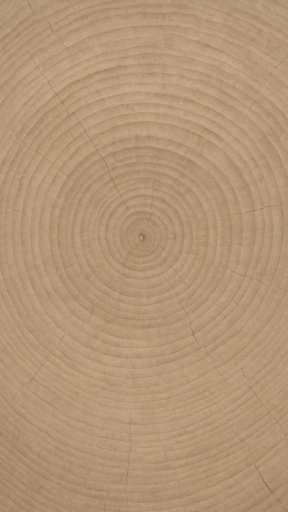 Natural wooden texture rings | Free Photo - rawpixel