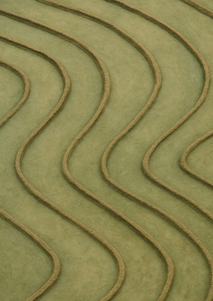 Curved terraced landscape design | Free Photo - rawpixel