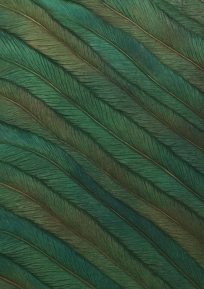 Elegant green feather pattern | Free Photo - rawpixel