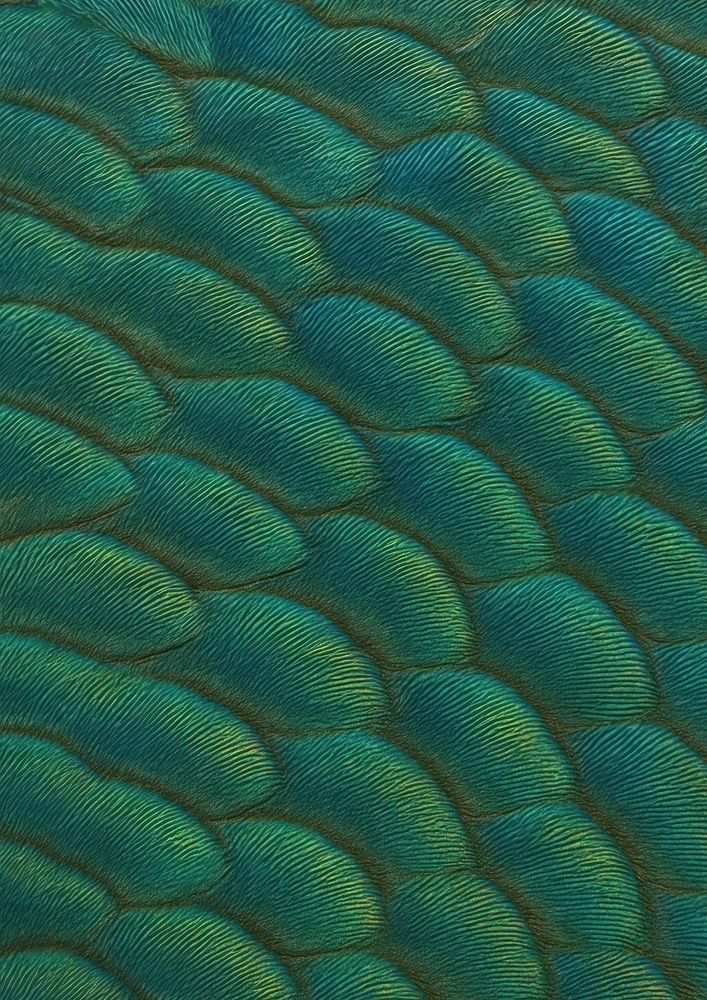 Vibrant peacock feather texture | Free Photo - rawpixel