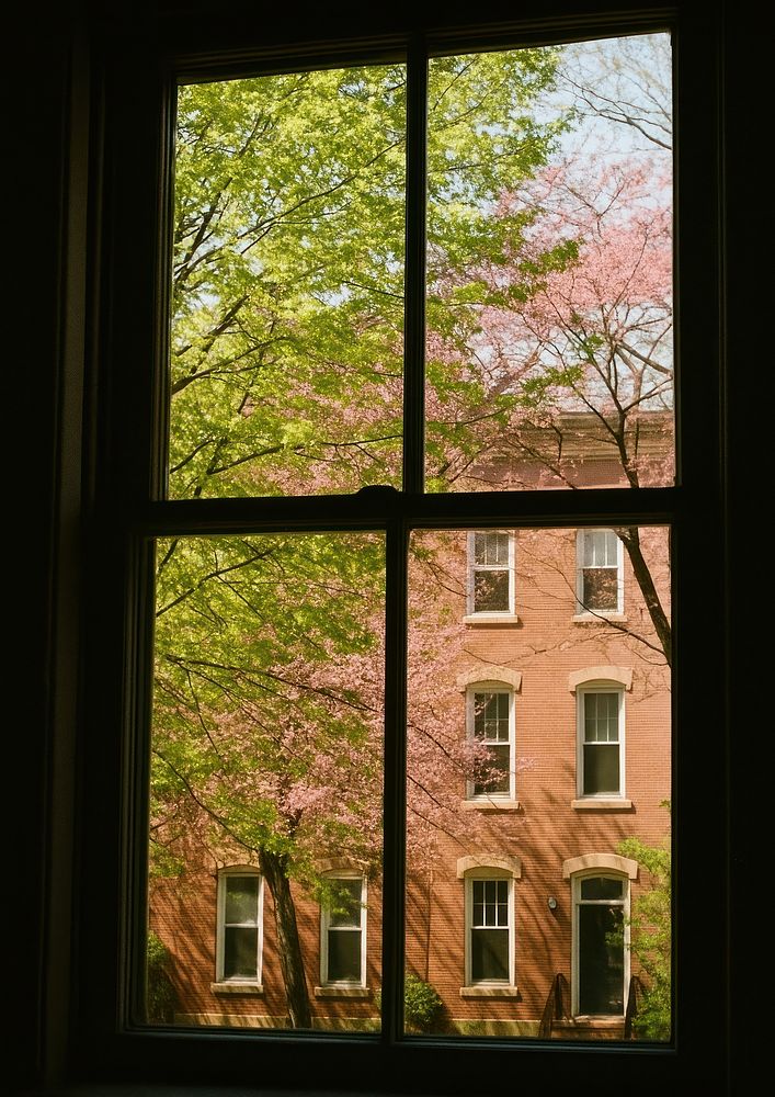 Springtime view through window | Free Photo - rawpixel