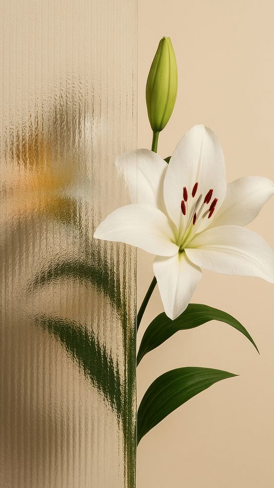 Elegant lily behind textured glass | Free Photo - rawpixel
