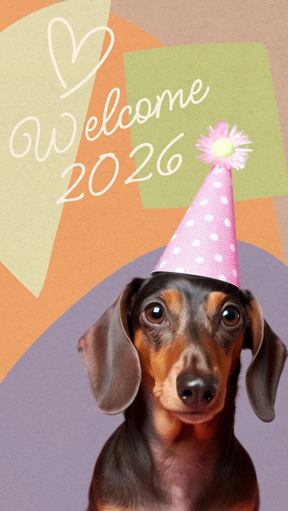 Dachshund celebrates New Year joyfully | Free Photo - rawpixel