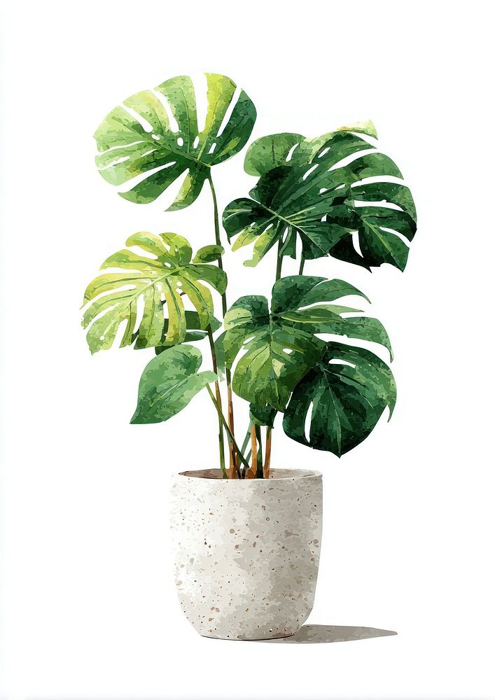 Illustration watercolor botanical monstera | Free Photo Illustration ...