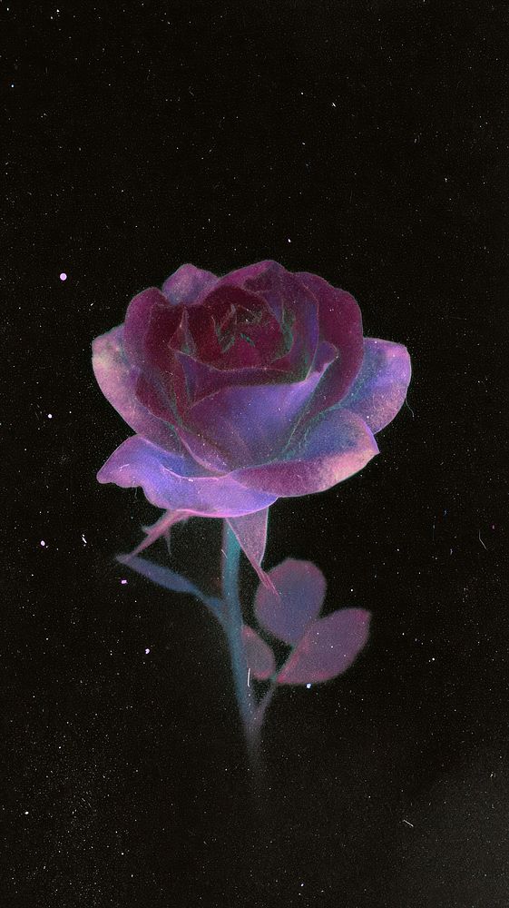 Black Wallpaper TIFF Background Images | Free Photos, PNG Stickers ...