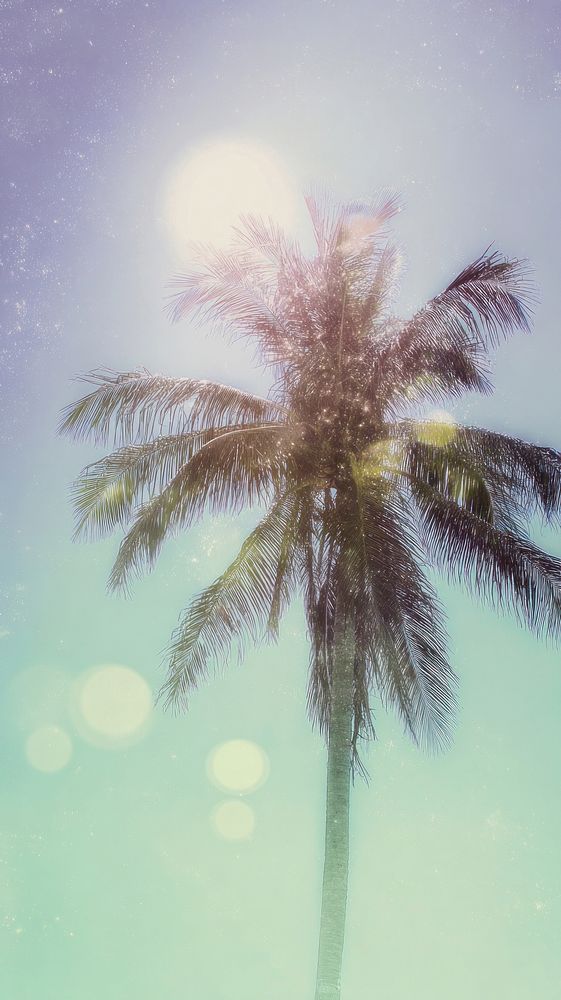 Plain TIFF JPEG Iphone Wallpaper Images | Free Photos, PNG Stickers ...