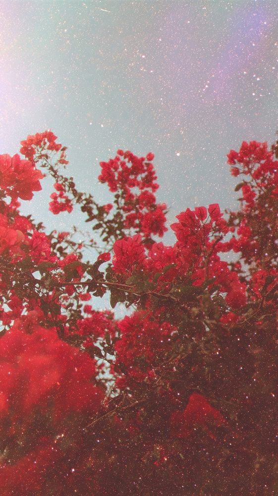 Architecture Plants TIFF Wallpaper Scenery TIF Images | Free Photos ...