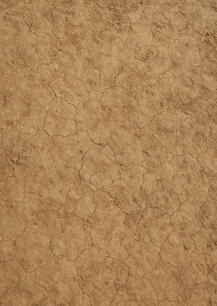 Cracked dry earth texture | Free Photo - rawpixel