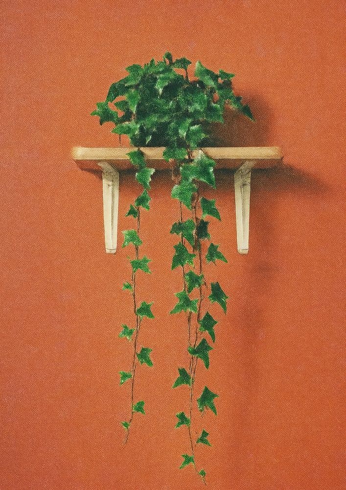 Aesthetic+ivy Wallpaper Images | Free Photos, PNG Stickers, Wallpapers ...