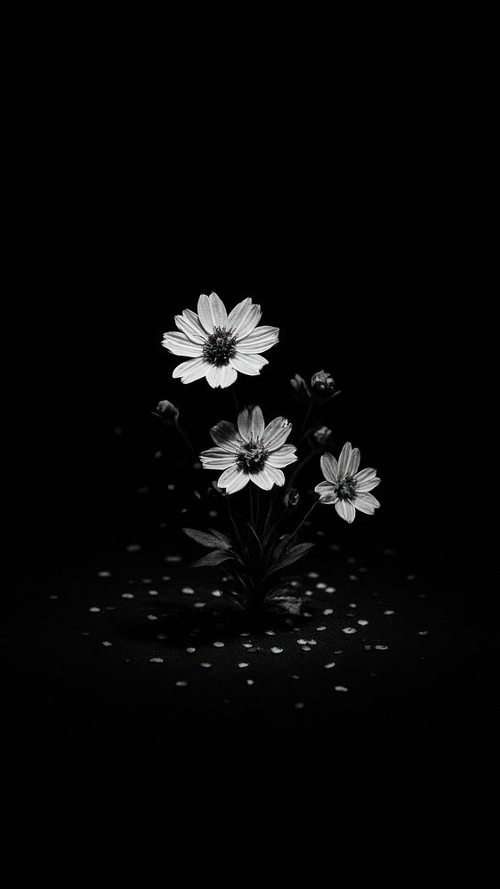 Pure+black++wallpaper Deep Images | Free Photos, PNG Stickers ...