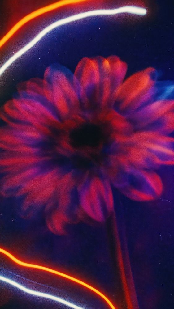 Vibrant abstract floral glow mobile | Free Photo - rawpixel