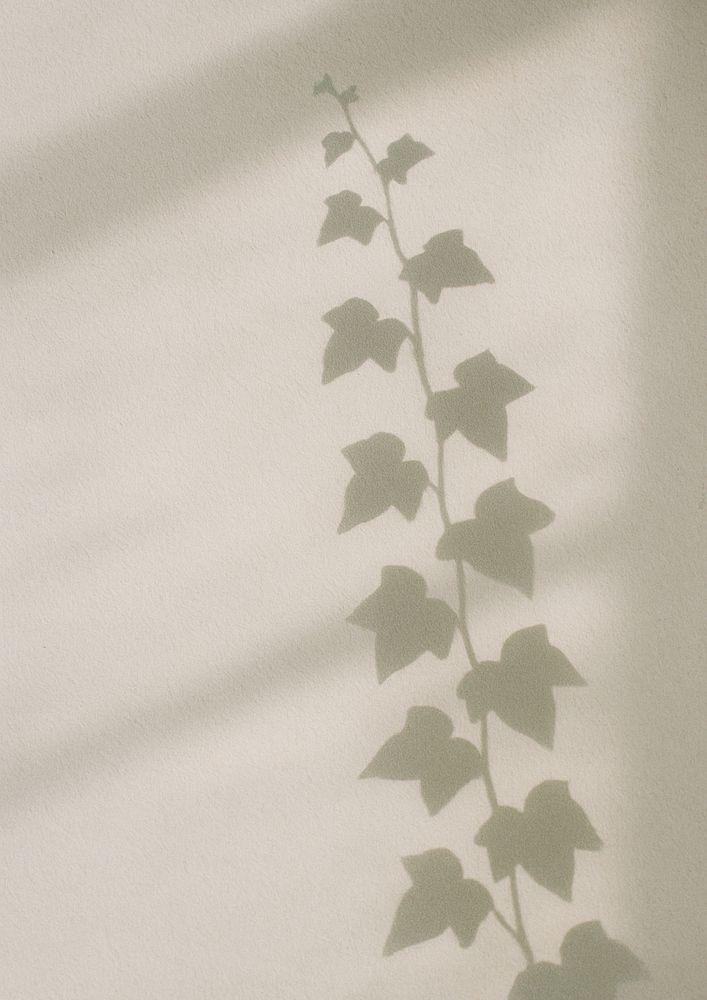 Ivy Wallpaper Design Mobile Leaves Aesthetic Images | Free Photos, PNG ...
