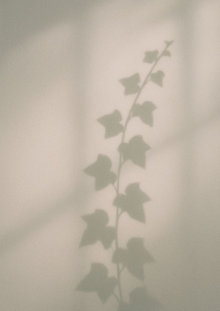 Ivy Wallpaper Design Aesthetic Nature Images | Free Photos, PNG ...