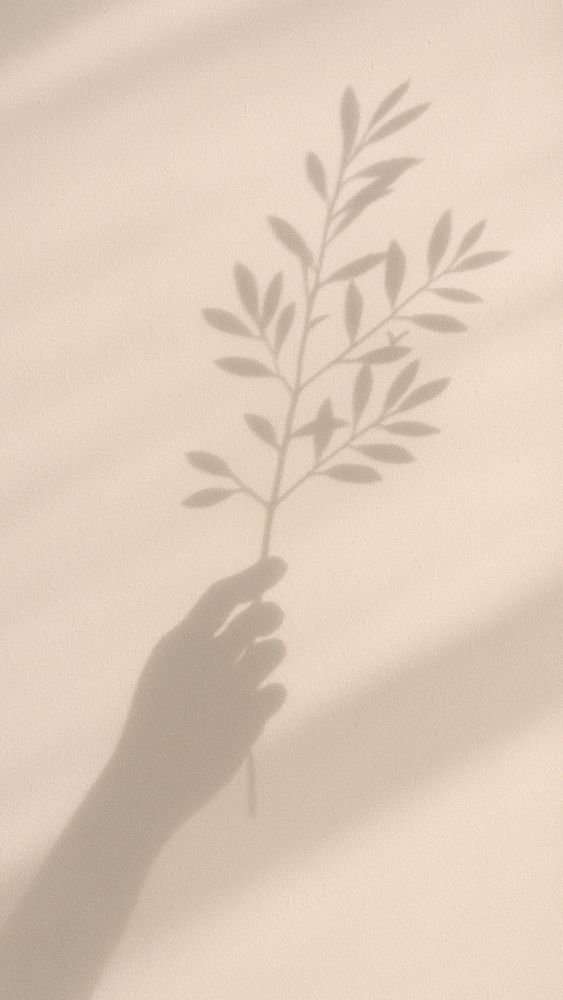 Tree Branches Leaves Silhouette Background Images | Free Photos, PNG ...