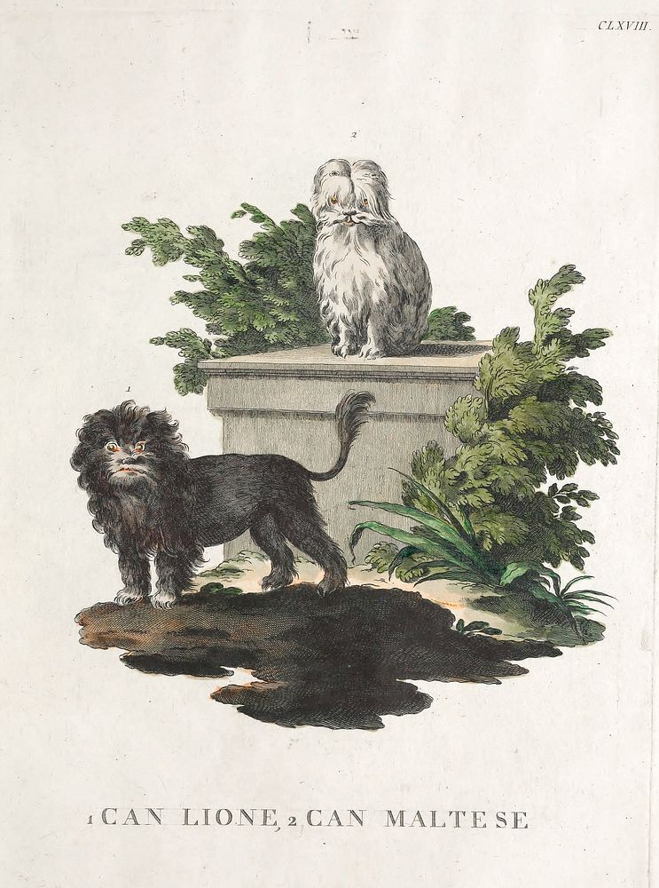 Breeding Plant Images | Free Photos, PNG Stickers, Wallpapers ...