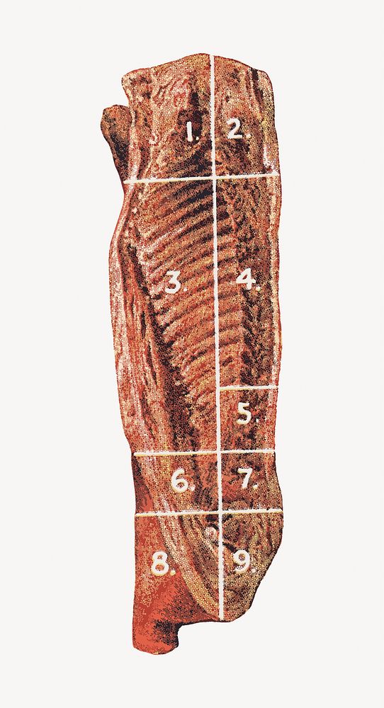 Vintage cuts bacon number design | Free Vector Sticker - rawpixel