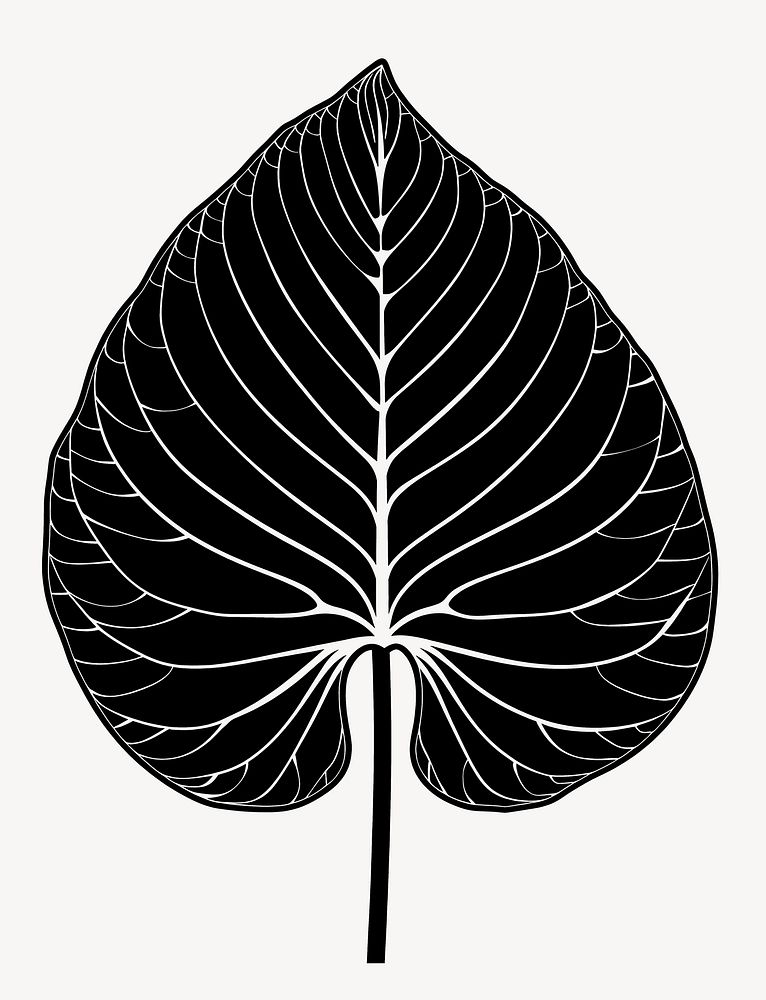 Hosta Leaf leaf illustration silhouette | Free Vector - rawpixel