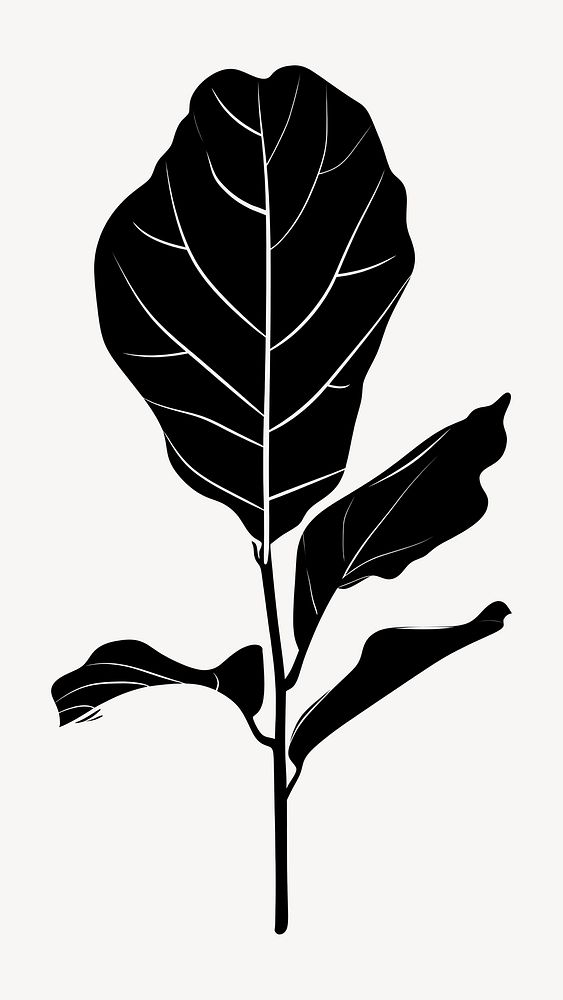 Rubber Plant Leaf silhouette leaf | Free Vector - rawpixel
