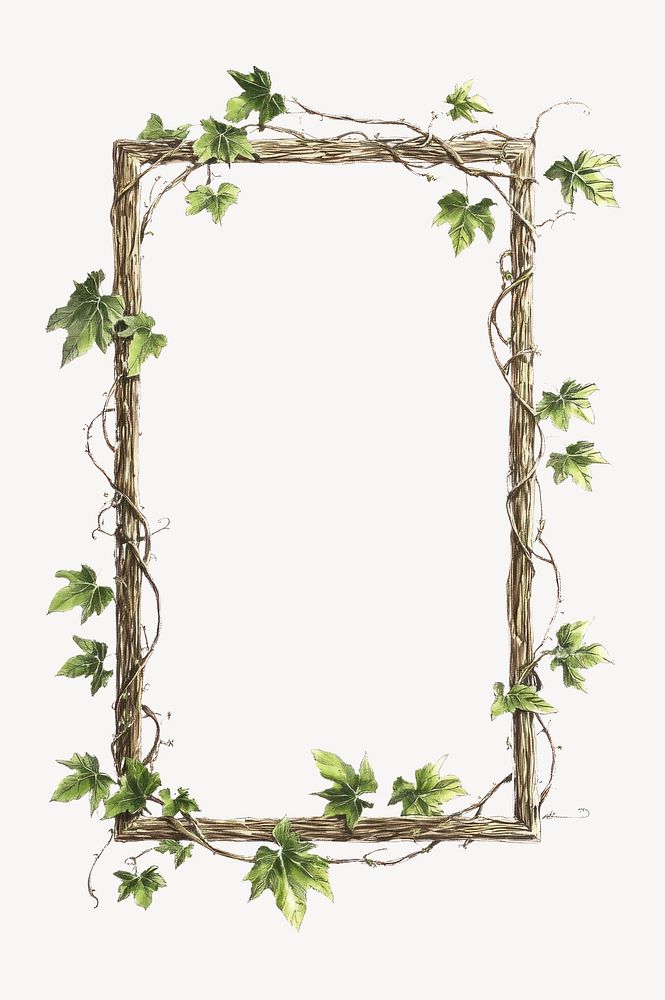 cute frame made vines illustration | Free Vector - rawpixel