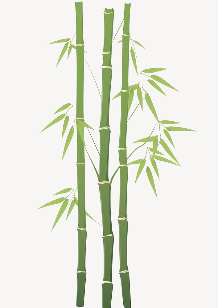 Bamboo tree illustration plant style | Free Vector - rawpixel