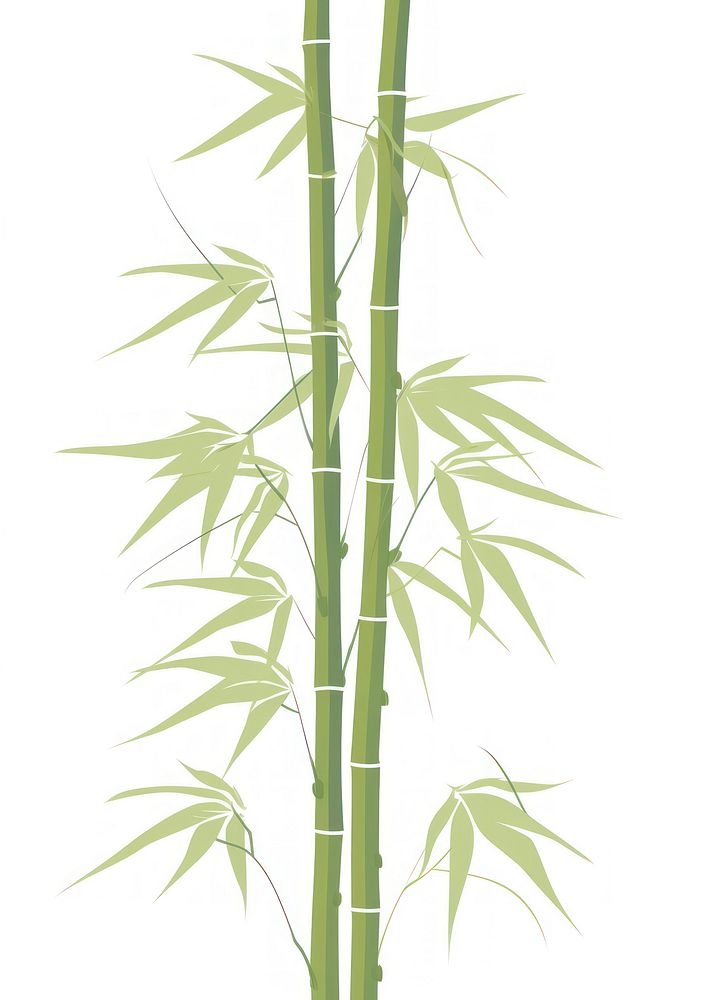 Bamboo tree illustration minimalist botanical | Free Photo Illustration ...