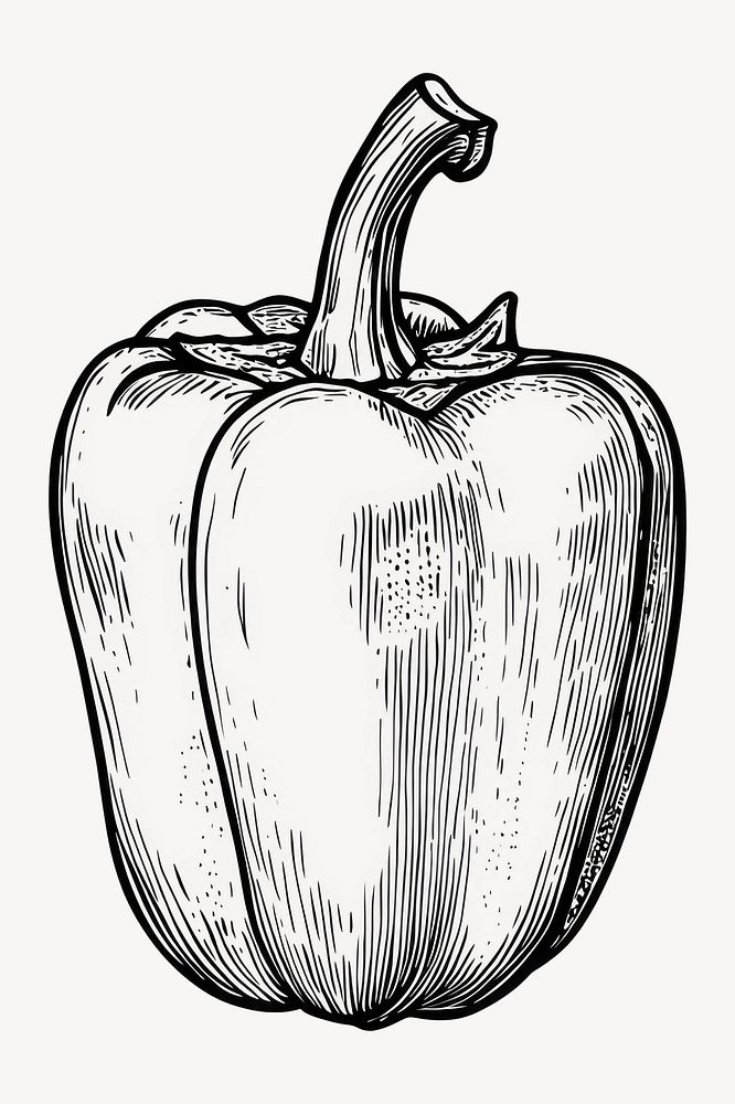 Bell pepper vegetable black white | Free Vector Illustration - rawpixel
